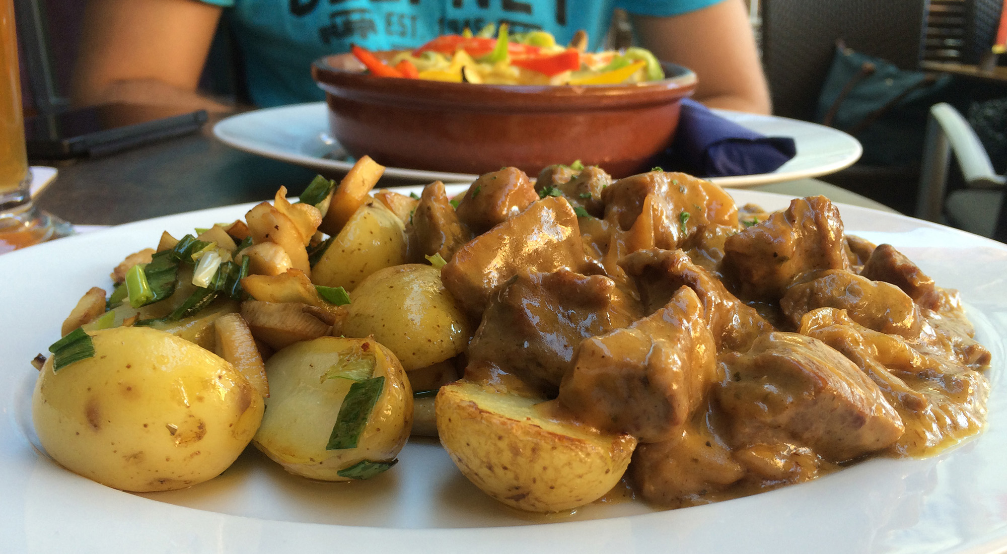 48_Spizz » I've Been Bit! Travel Blog