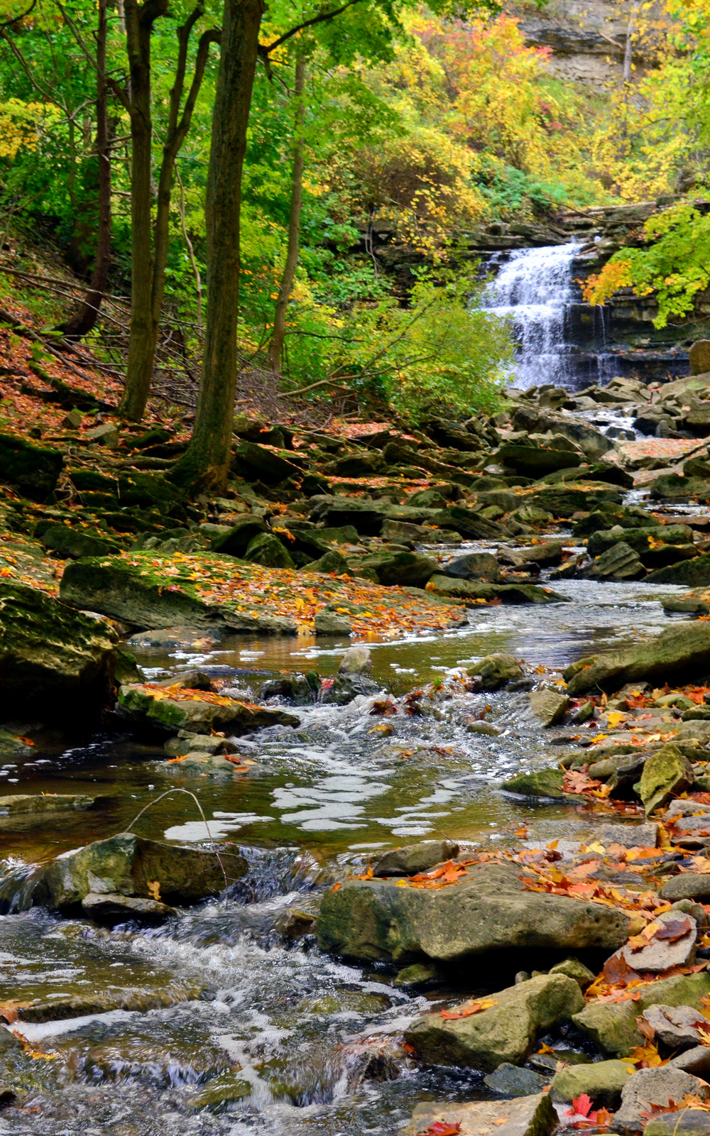 Beamer Falls Conservation Area: Hiking, Waterfalls & More! » I've Been ...