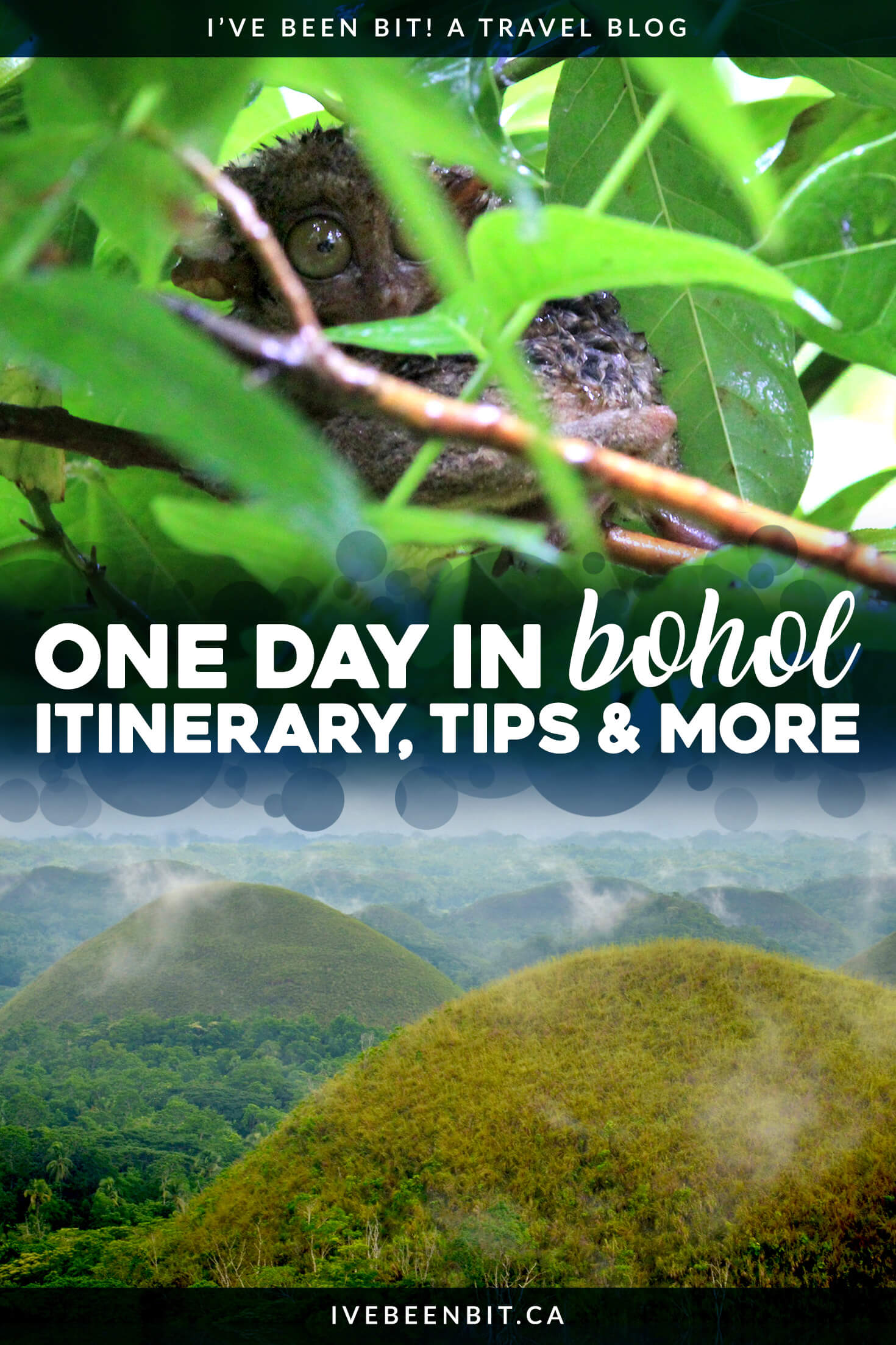 Bohol Day Tour - Making the Most of 1 Day in Bohol » I've Been Bit ...
