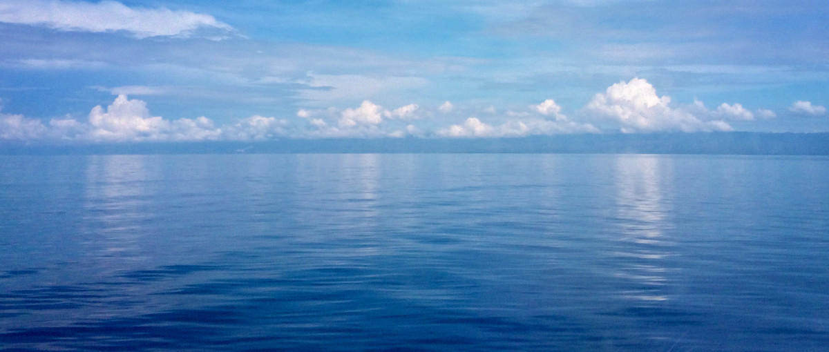 Bohol Day Tour - Making the Most of 1 Day in Bohol » I've Been Bit ...