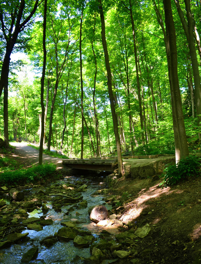 Hiking Hamilton: Sulphur Line Rail Trail » I've Been Bit! Travel Blog