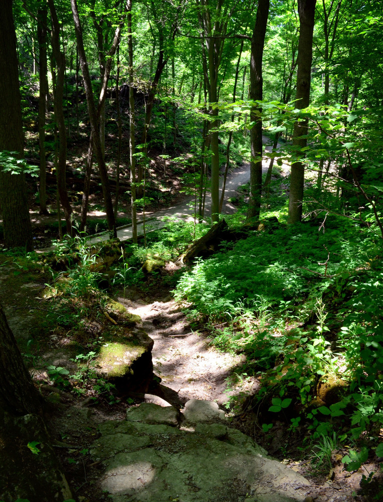 Hiking Hamilton: Sulphur Line Rail Trail » I've Been Bit! Travel Blog