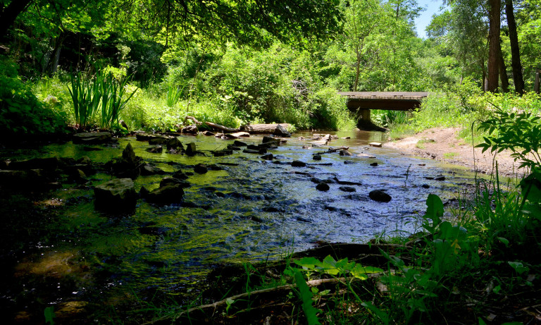 Hiking The Bruce Trail: Your Guide to Ontario's Top Trail » I've Been ...