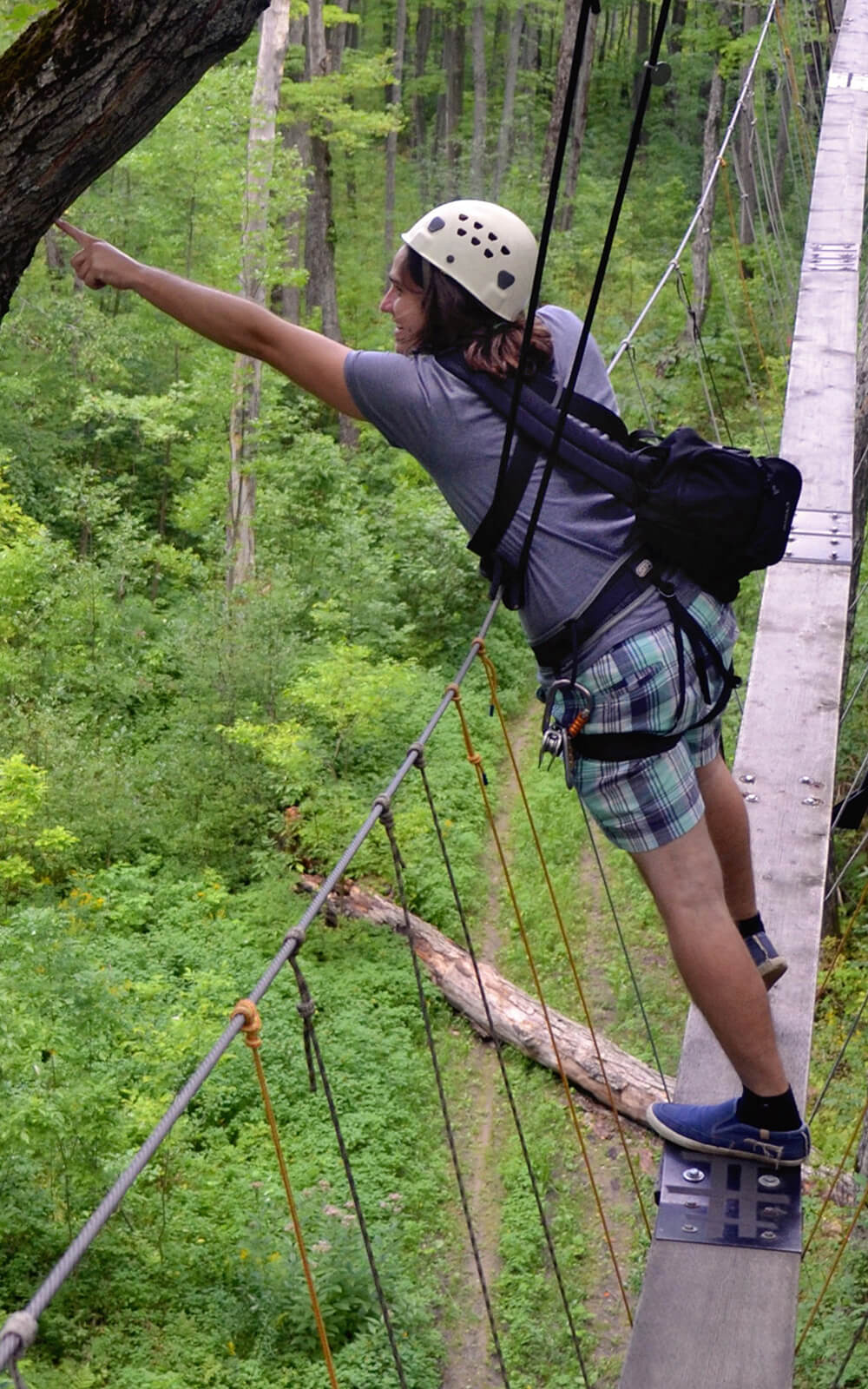 Scenic Caves Eco Adventure Tour: Treetops, Ziplines & More! » I've Been ...