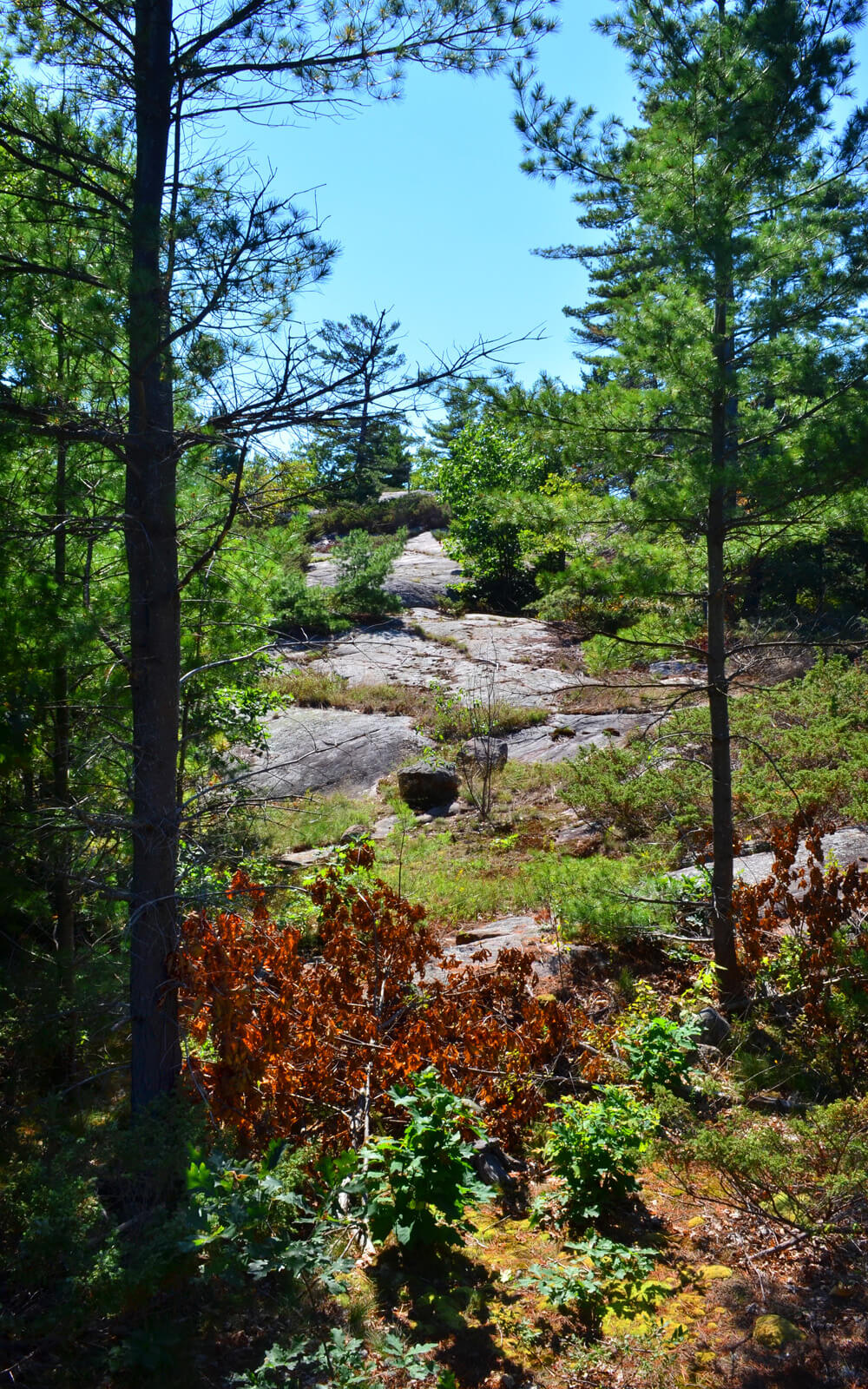 Enjoy A Delightful Day Trip to Georgian Bay Islands National Park » I ...