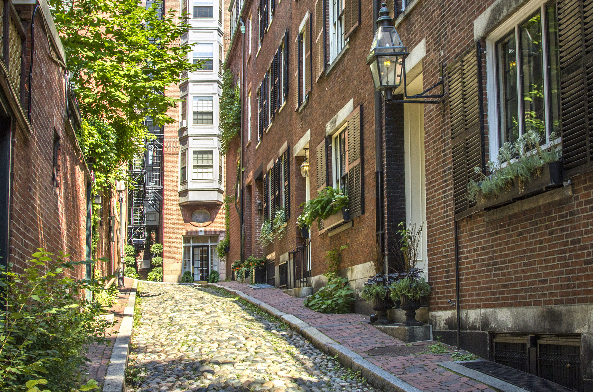 Boston in One Day :: A Wanderer's Walking Guide » I've Been Bit! Travel ...