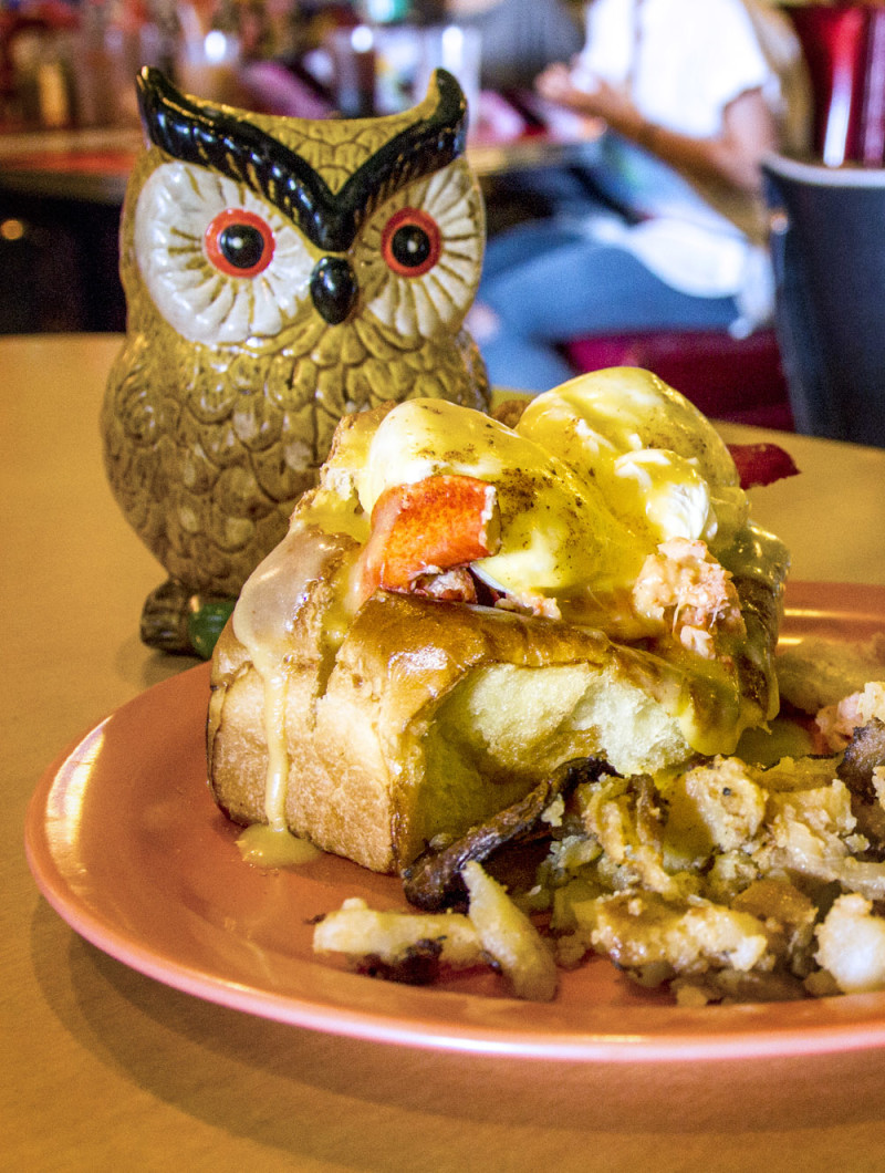 Boston in One Day :: A Wanderer's Walking Guide » I've Been Bit! Travel ...