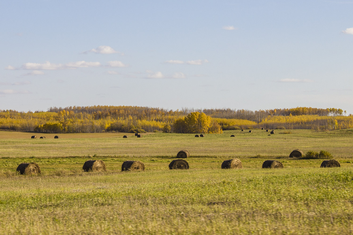25+ Photos Guaranteed to Inspire a Manitoba Road Trip » I've Been Bit ...