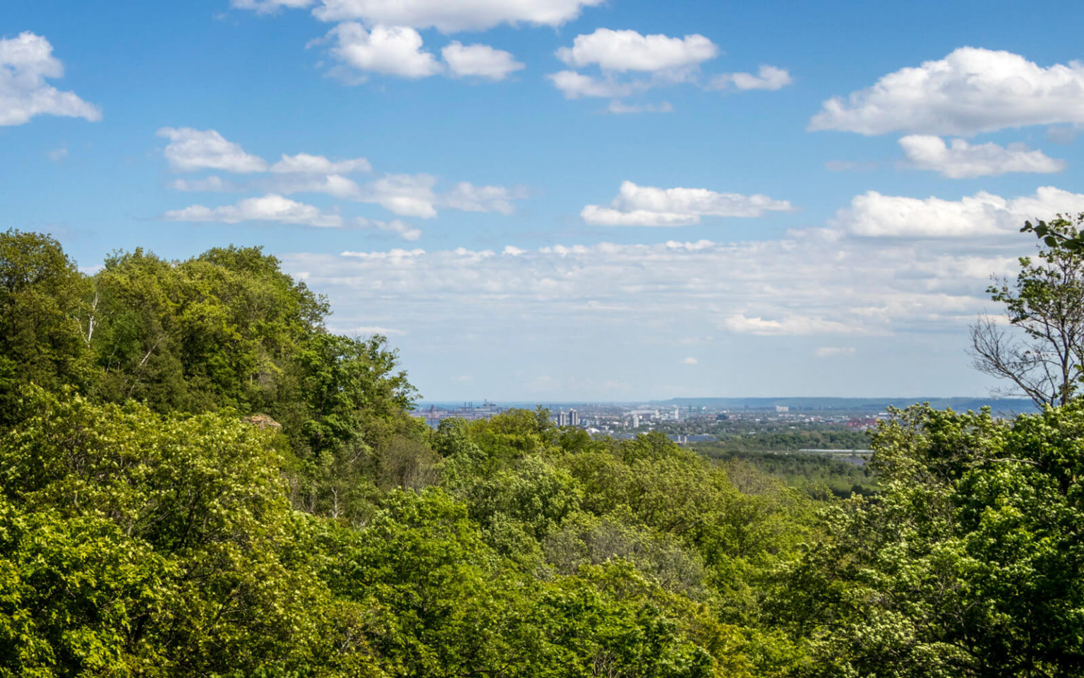 168-Borers-Falls-Lookout-Summer » I've Been Bit! Travel Blog