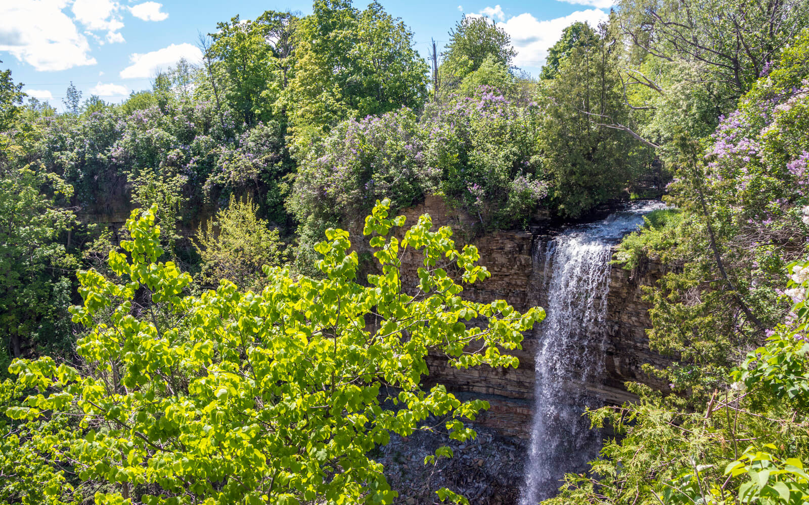 15+ Best Waterfalls in Hamilton: Tips for Hiking, Parking & More! » I ...