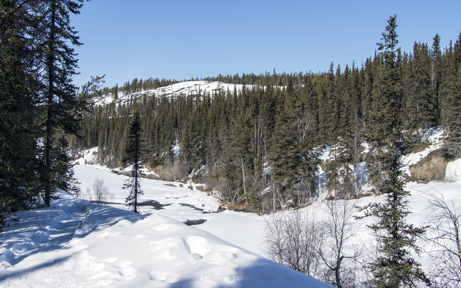 Truly Experience Cameron Falls with Strong Interpretations » I've Been ...