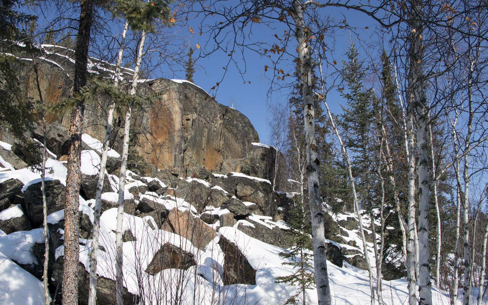 Truly Experience Cameron Falls with Strong Interpretations » I've Been ...