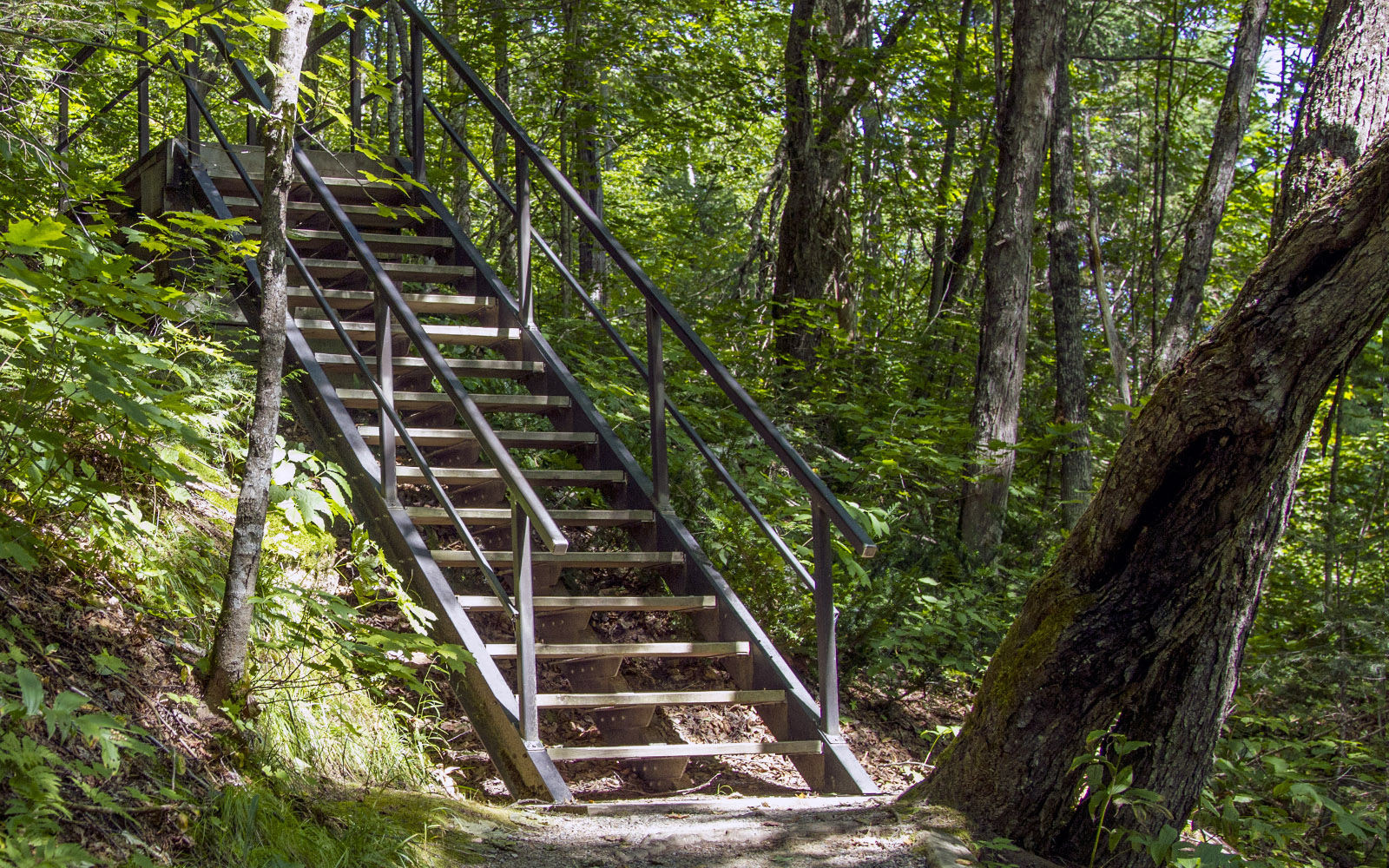 Agawa Canyon Tour Train: Ultimate Guide to this Top Excursion » I've ...