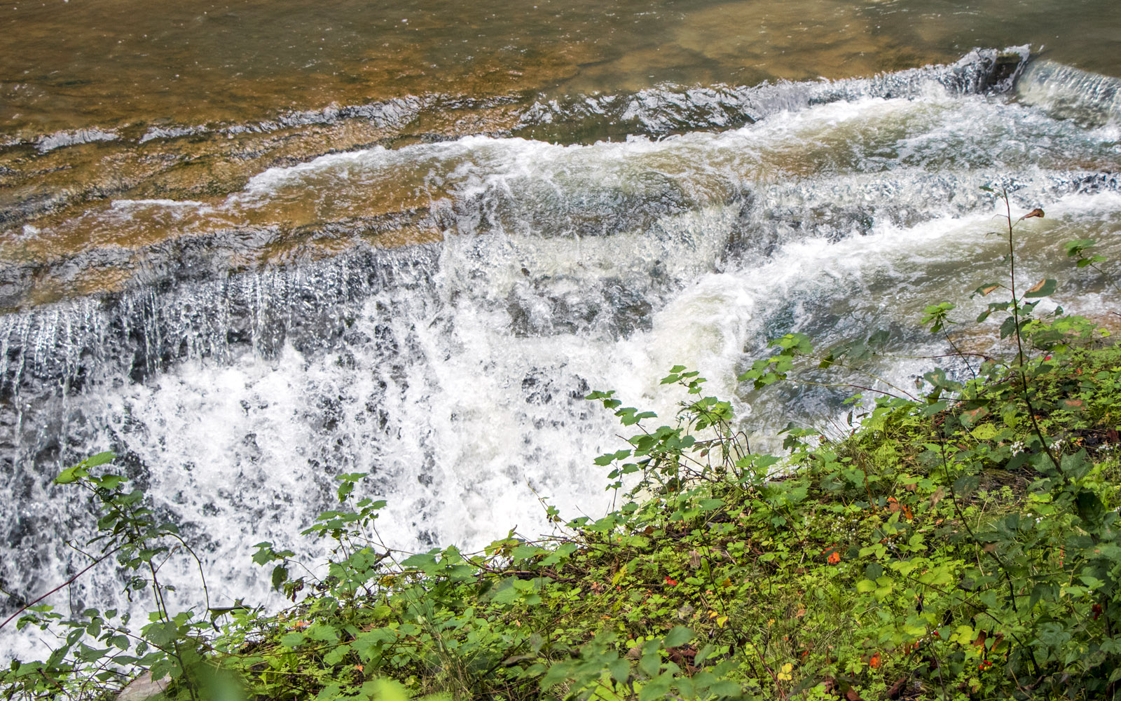 193_SmallCascade » I've Been Bit! Travel Blog