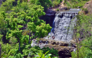 15+ Best Waterfalls in Hamilton: Tips for Hiking, Parking & More! » I ...