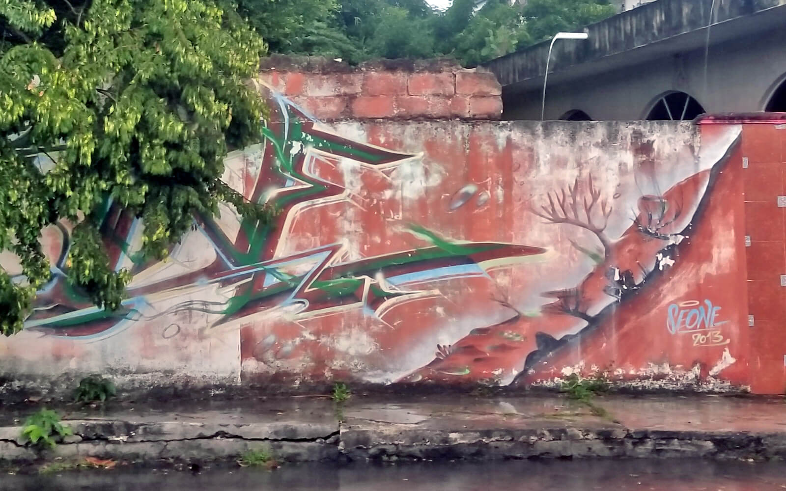 210-Coral-Abstract-Seone-Cozumel » I've Been Bit! Travel Blog