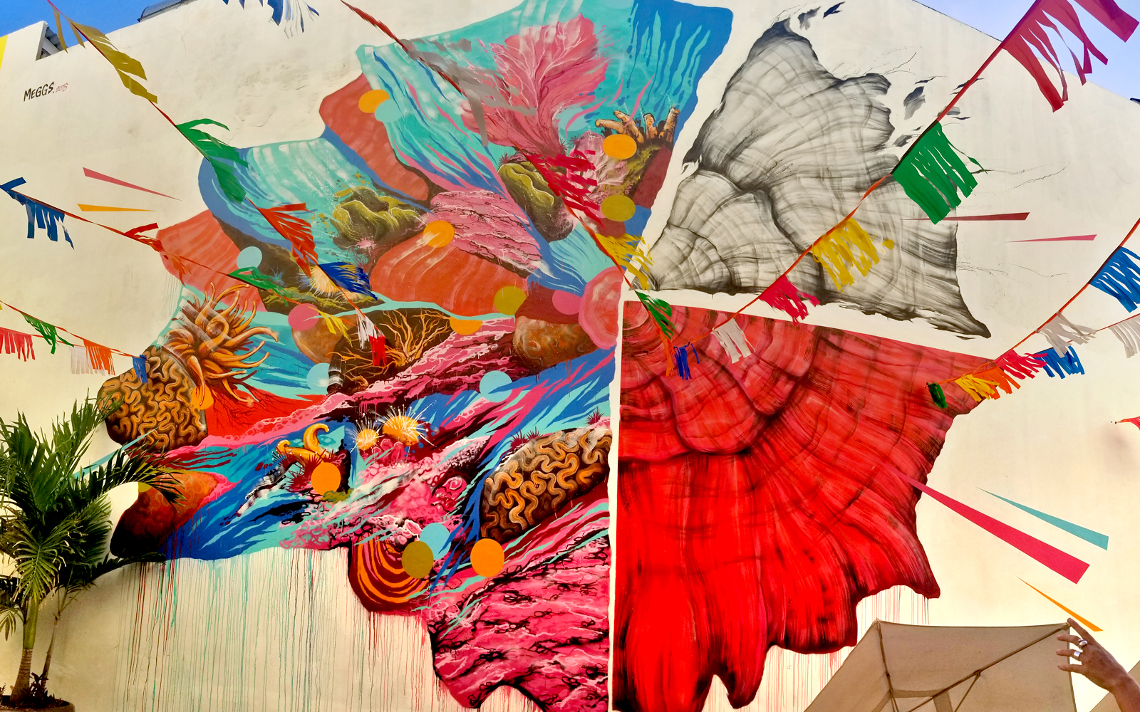 Hunt for Cozumel Street Art, A Must Do in Cozumel! » I've Been Bit ...