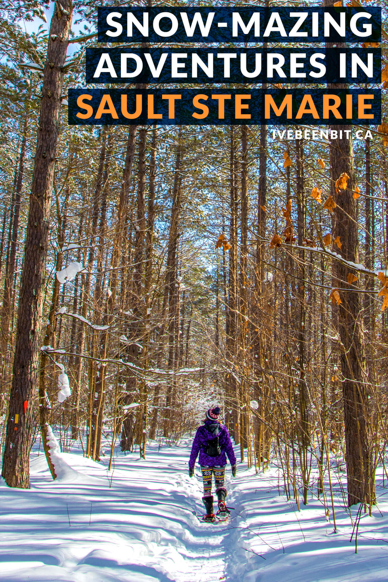 Snow-mazing Things to Do in Sault Ste Marie Ontario This Winter » I've ...