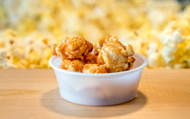 220-Original-Kettlecorn » I've Been Bit! Travel Blog