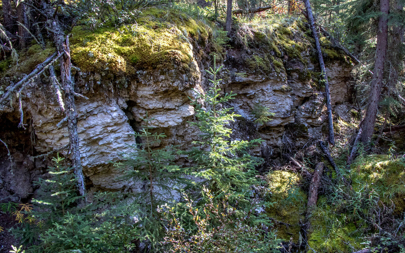 Wood Buffalo National Park: The Ultimate Outdoor Destination » I've ...