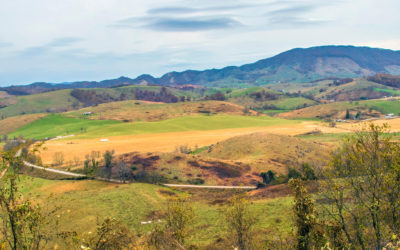 Virginia Road Trip: Exploring the Best of Interstate 81 » I've Been Bit ...