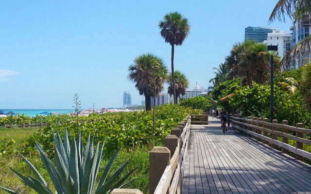 22 Hidden Gems in Miami You Don't Want to Miss » I've Been Bit! Travel Blog