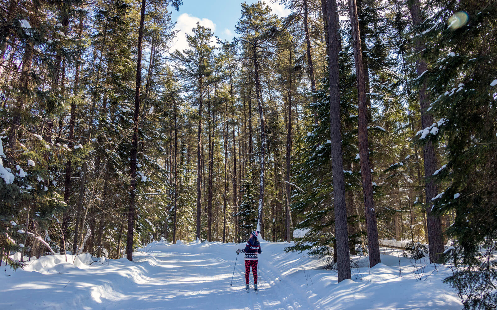 Windy Lake Provincial Park: One Chill Spot for a Winter Escape » I've ...
