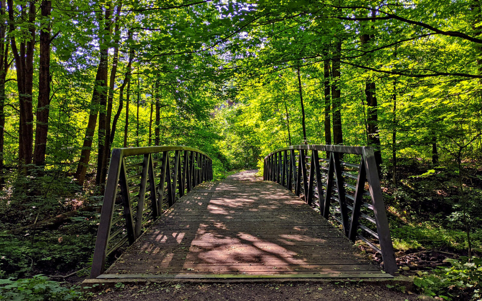 Top Waterloo Trails To Get Outside & Stretch Your Legs » I've Been Bit ...