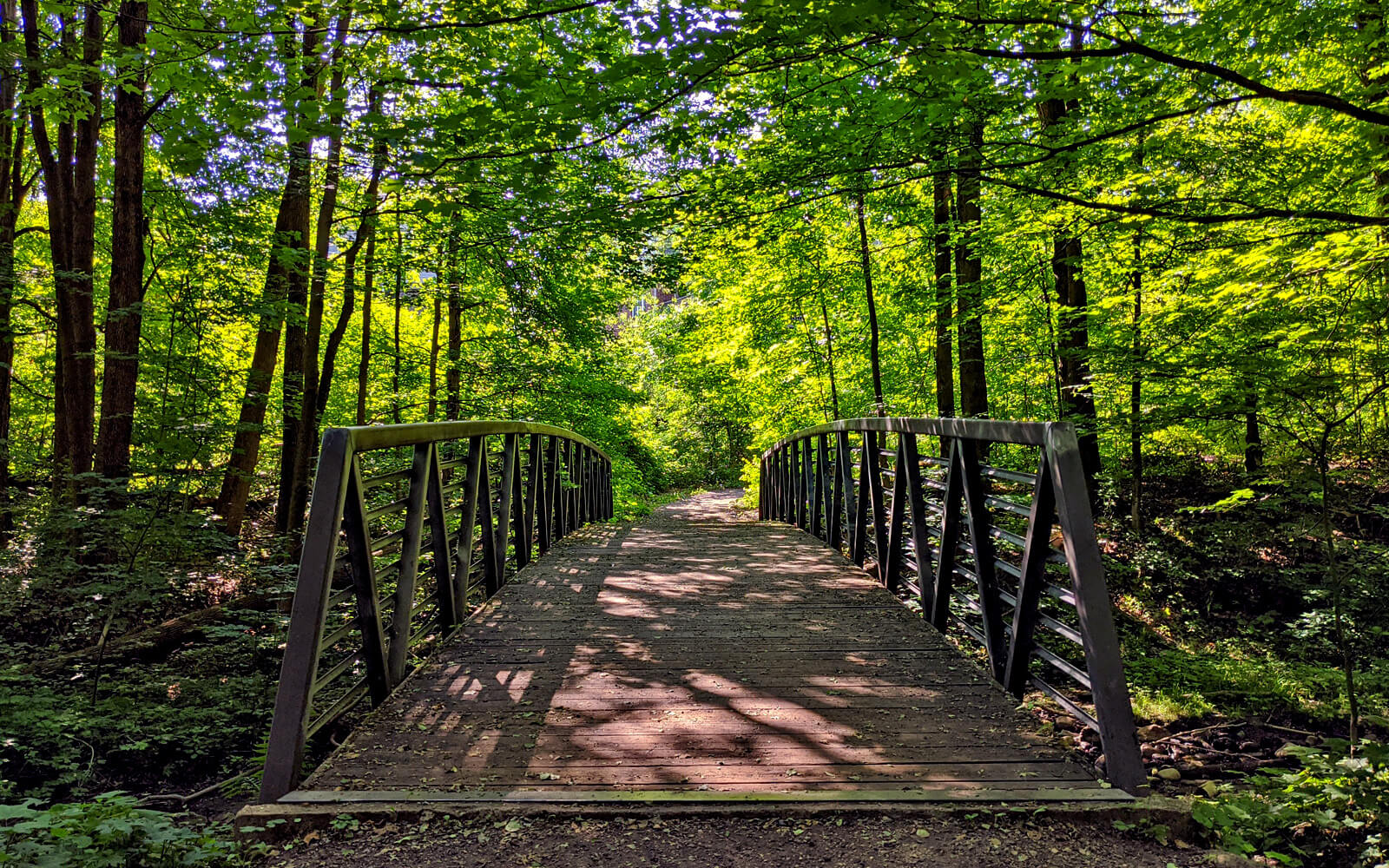 Top Waterloo Trails To Get Outside & Stretch Your Legs » I've Been Bit ...
