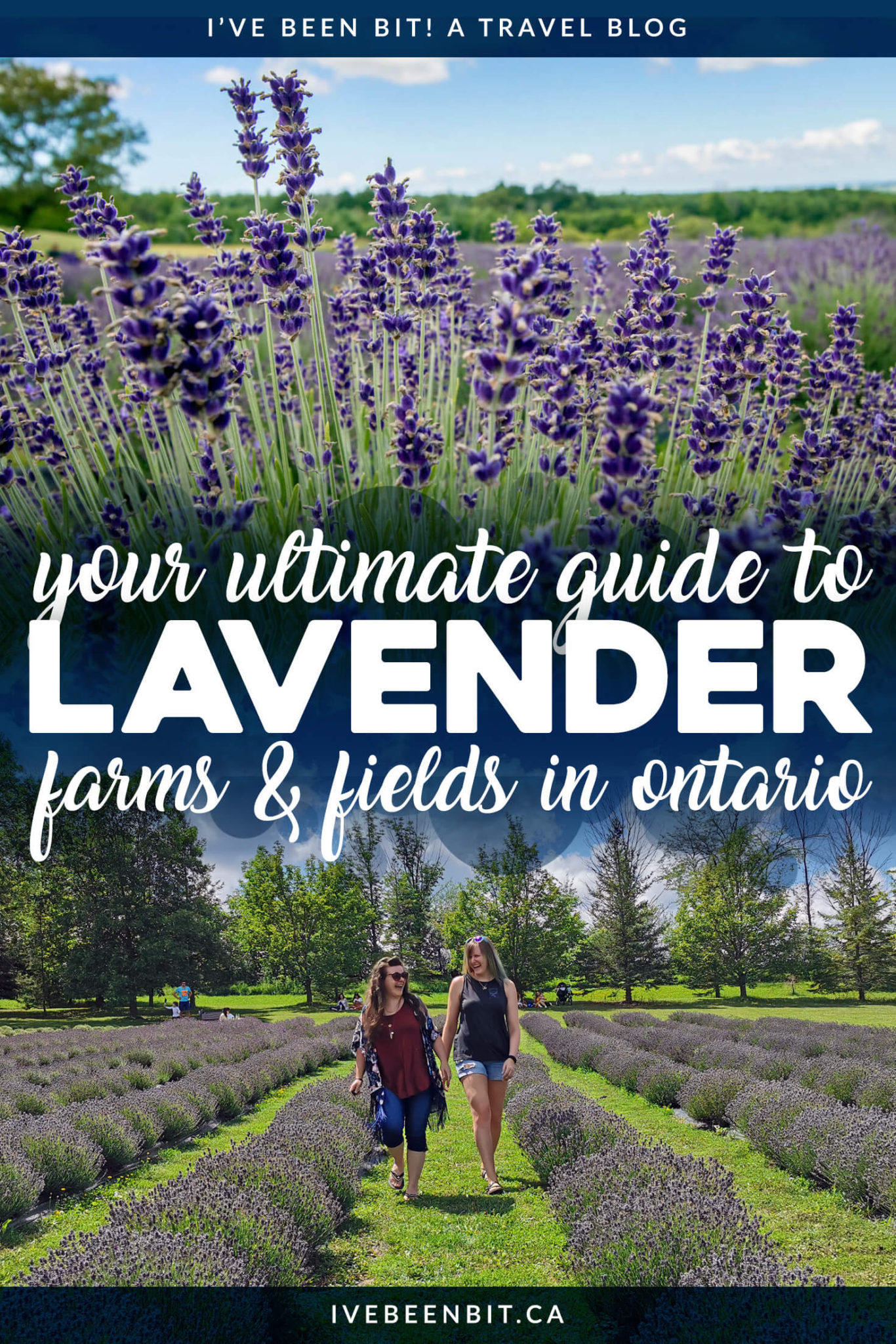 18 Incredible Ontario Lavender Farms To Experience This Summer » I've ...