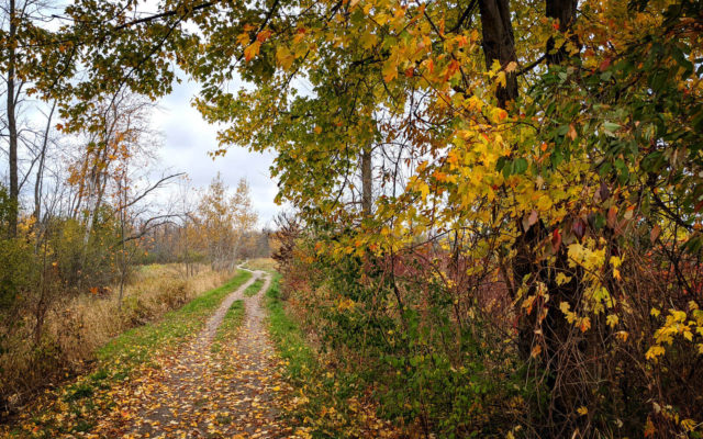 Hamilton Hiking Trails: Your Guide to the Best Hikes in Hamilton » I've ...