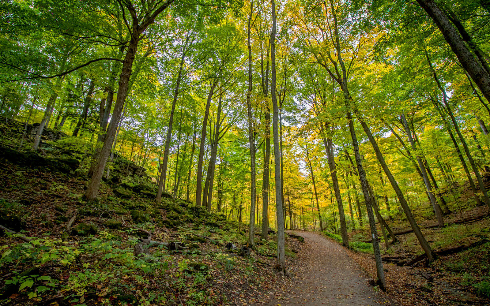 Hamilton Hiking Trails: Your Guide to the Best Hikes in Hamilton » I've ...