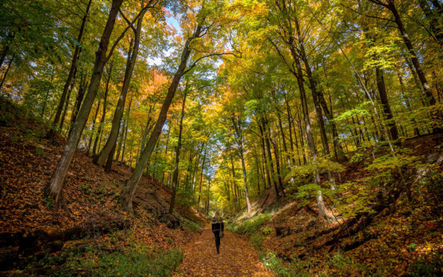 10+ Brilliant Hamilton Views for Sunrise, Sunset, Nature & More » I've ...