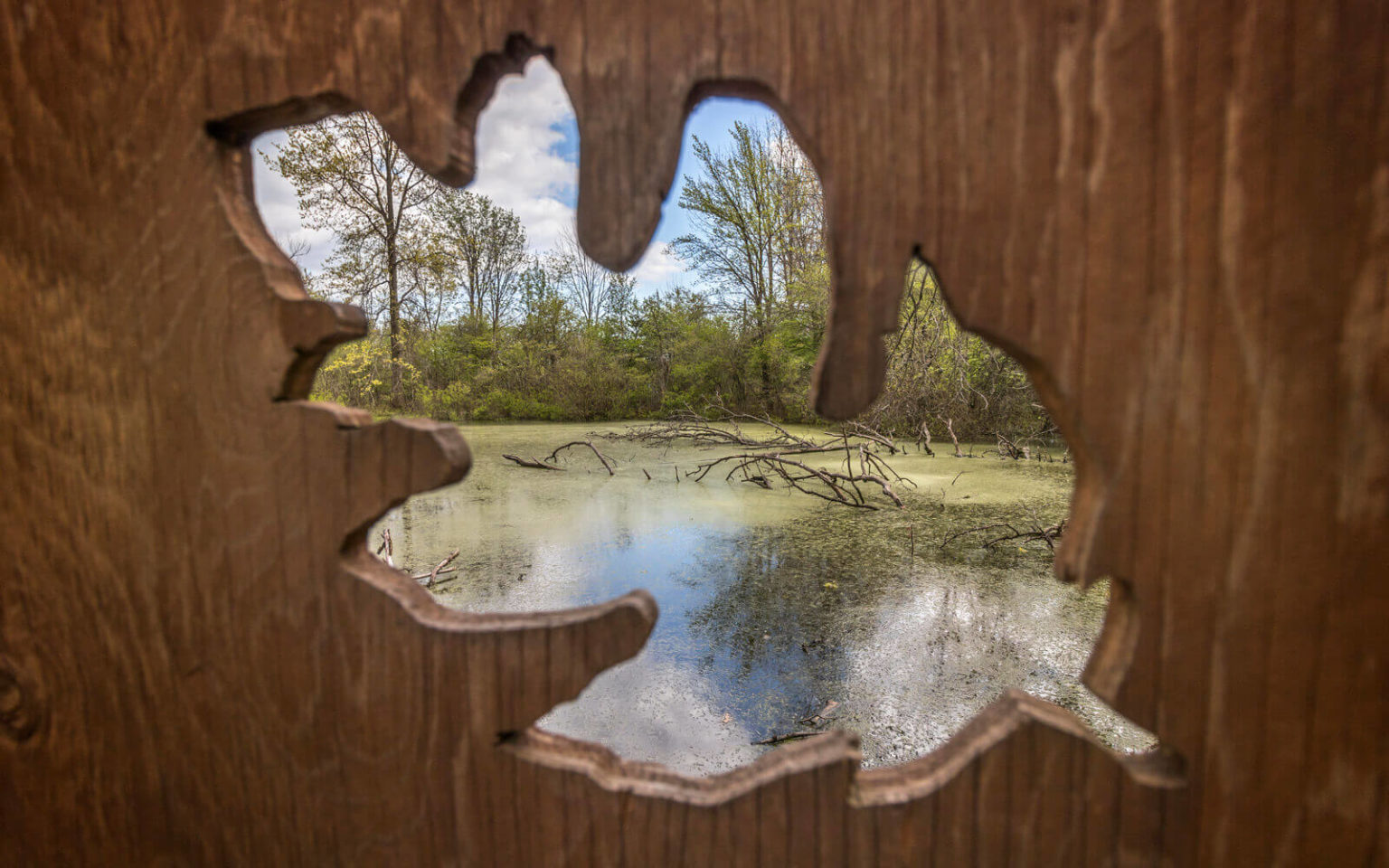 Heartland Forest Niagara Falls: Where Everyone Can Enjoy Nature » I've ...
