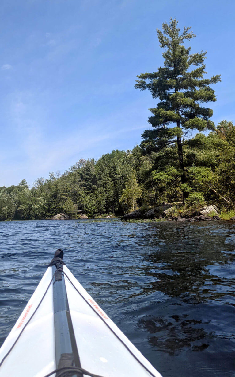 Silent Lake Provincial Park Cabins + Things to Do For An Epic Visit » I ...