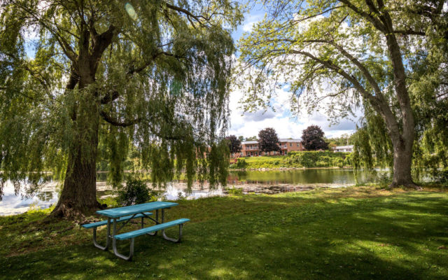 15+ Things to Do in Napanee for a Quaint Bay of Quinte Getaway » I've ...