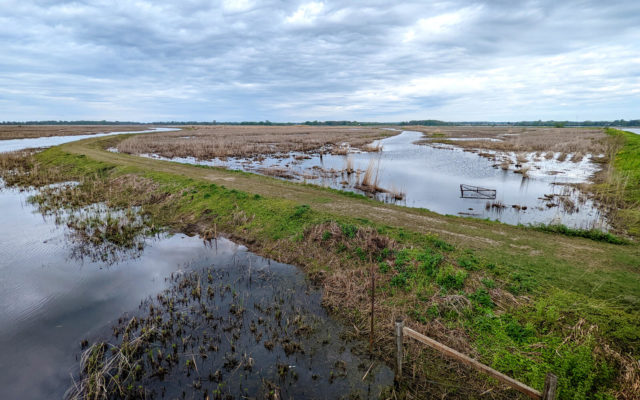 Long Point Provincial Park Camping Guide & 10+ Things to See & Do » I ...