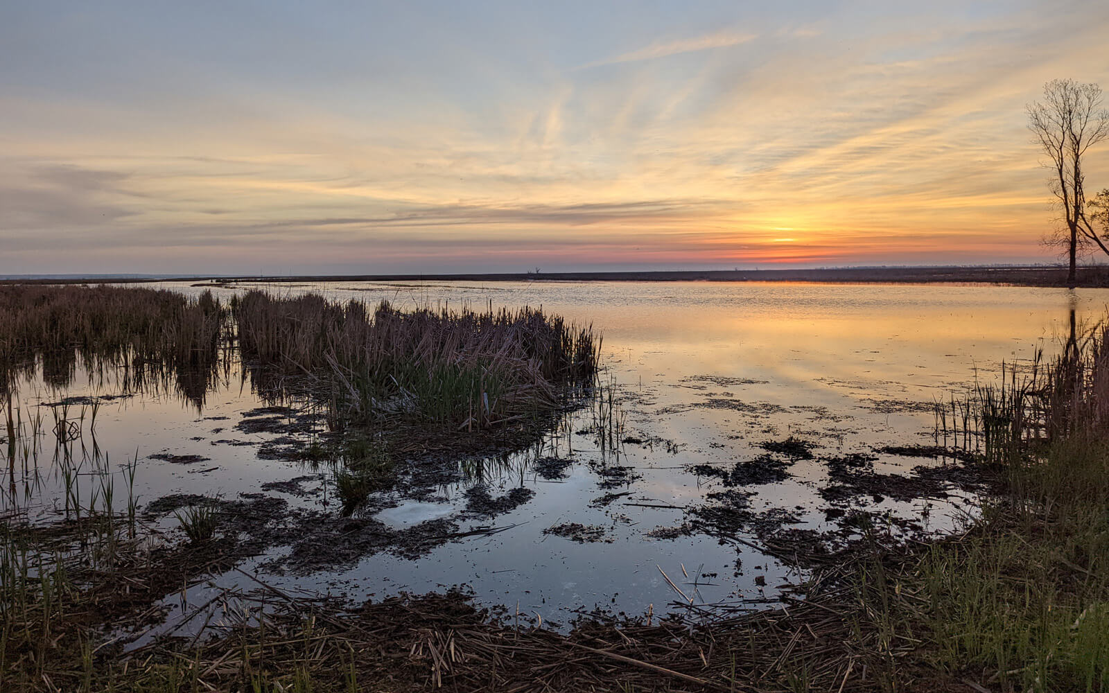 Long Point Provincial Park Camping Guide & 10+ Things to See & Do » I ...