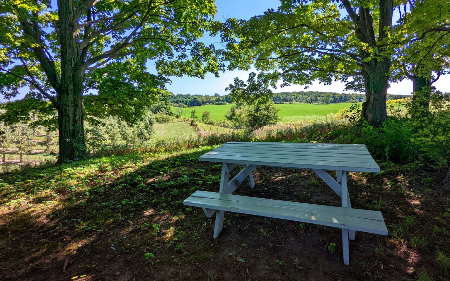 Lake Scugog Ontario: Top Things to Do On, Off & Near the Water » I've ...