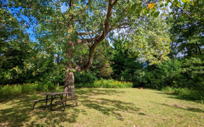 Rondeau Provincial Park: Camping, Hiking & More Fun On Lake Erie » I've ...