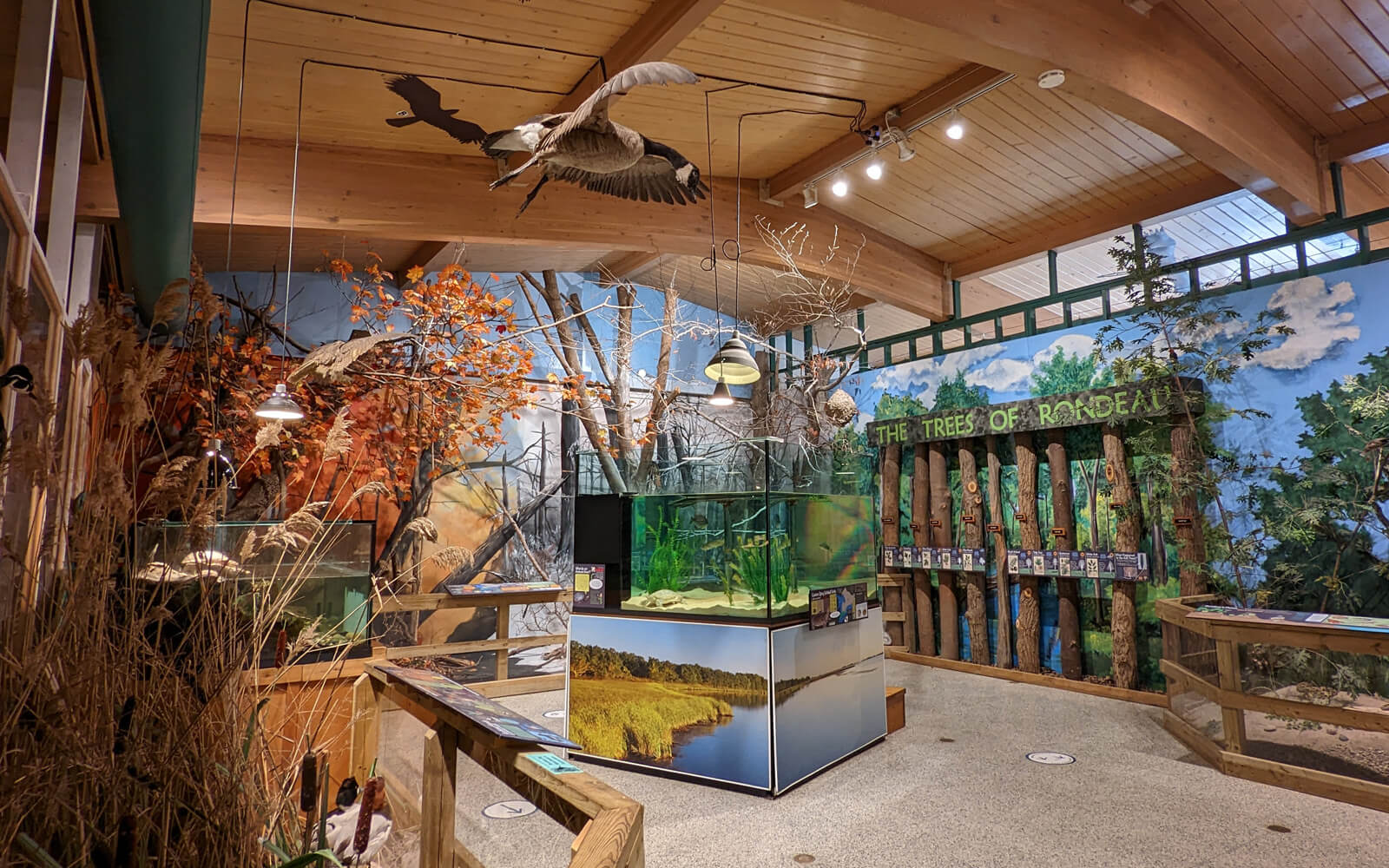 Rondeau Provincial Park: Camping, Hiking & More Fun On Lake Erie » I've ...