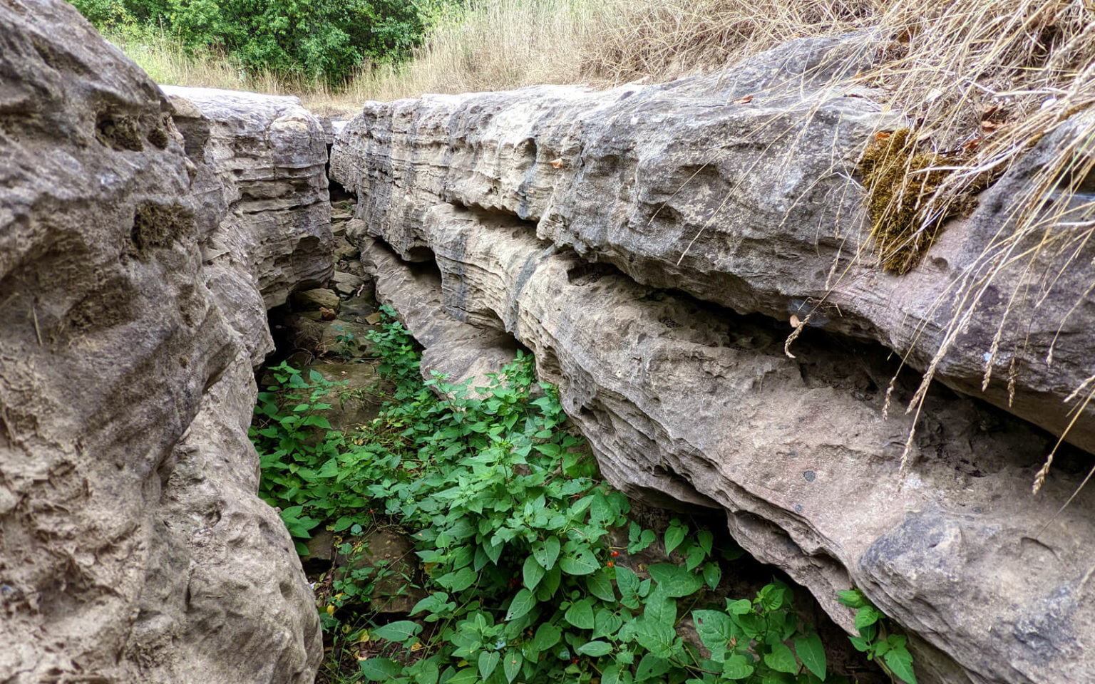Eramosa Karst Conservation Area: Unique Hiking in Hamilton » I've Been ...