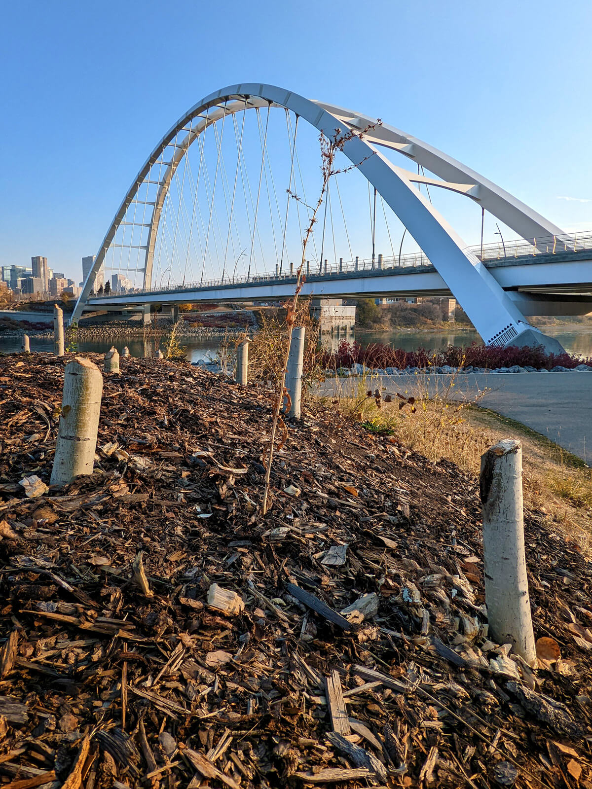 Exploring Old Strathcona Edmonton: Top Things to See & Do » I've Been ...