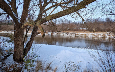 15+ Fantastic Things to Do in St Jacobs for a Weekend Adventure » I've ...