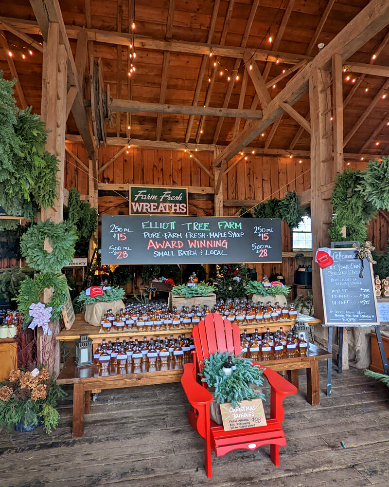 Christmas in Toronto: 25+ Festive Ways to Celebrate the Season » I've ...