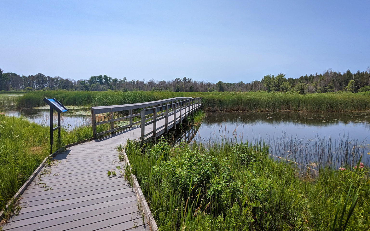 17+ Amazing Things to Do in Brighton Ontario » I've Been Bit! Travel Blog