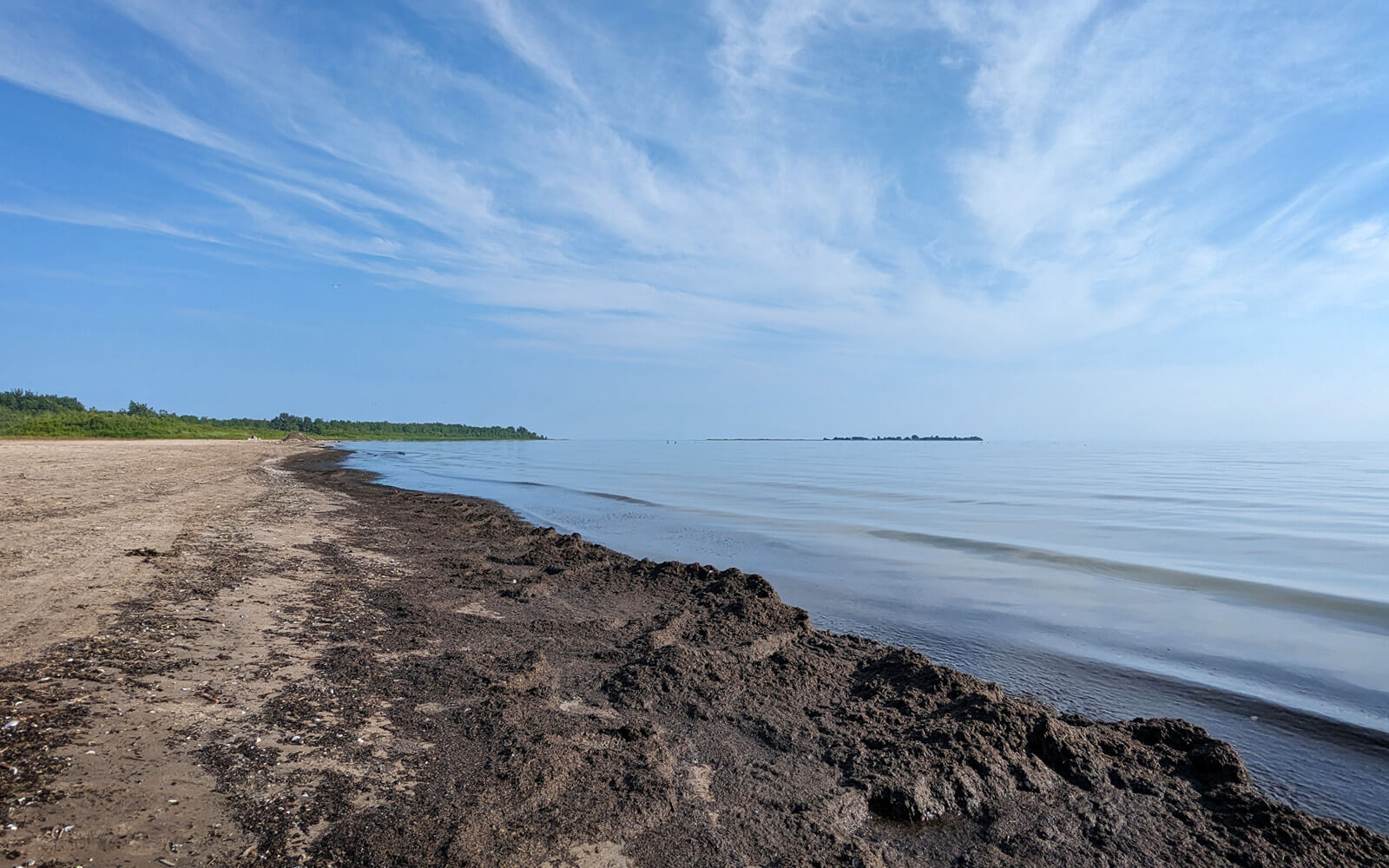 17+ Amazing Things to Do in Brighton Ontario » I've Been Bit! Travel Blog