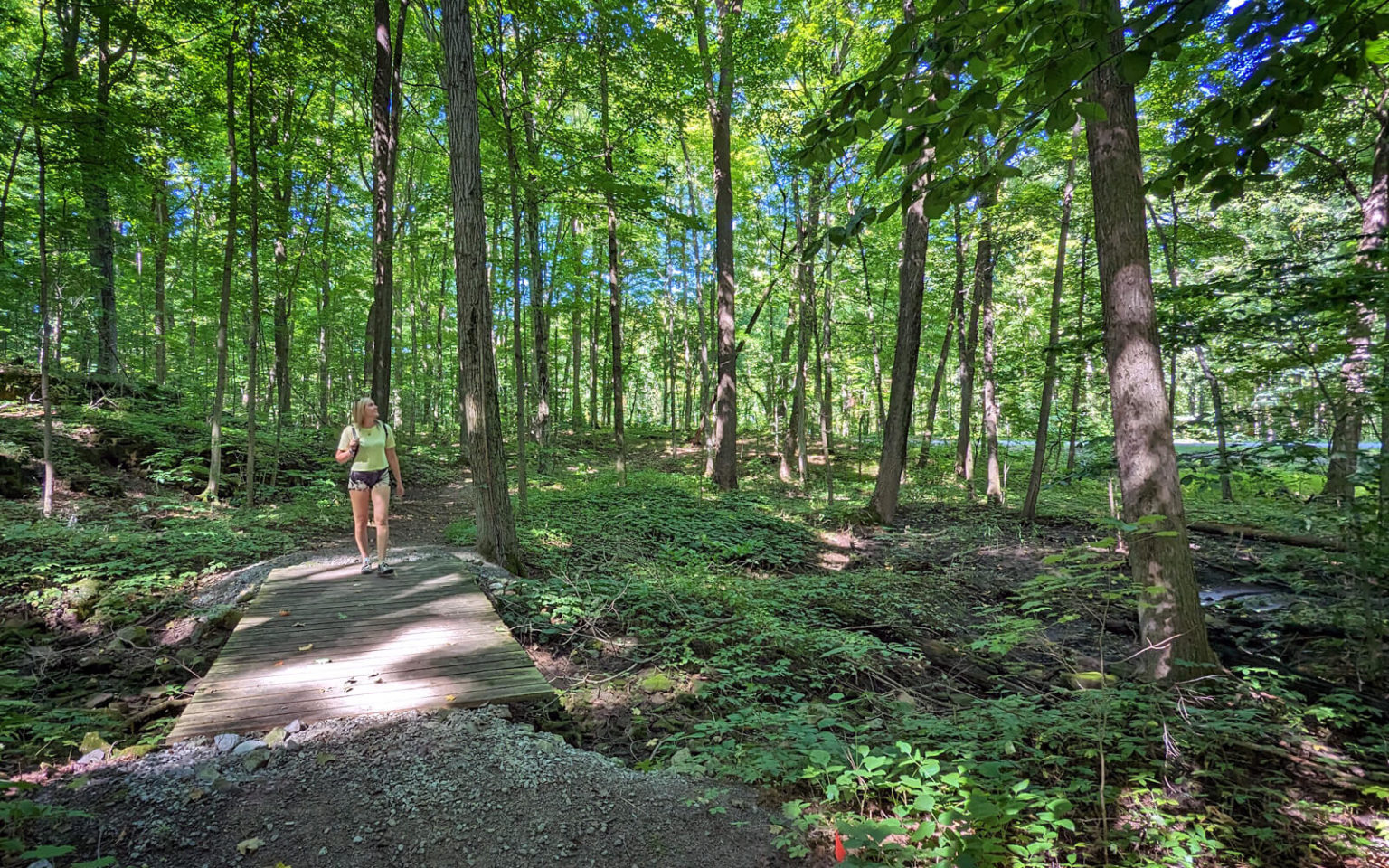 Balls Falls Conservation Area Guide: Everything You Need to Know » I've Been Bit! Travel Blog