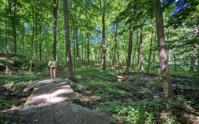 Balls Falls Conservation Area Guide: Everything You Need to Know » I've ...