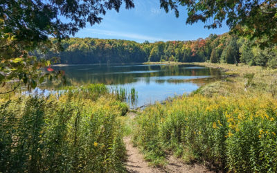 Mono Cliffs Provincial Park Trails Guide + The BEST Hiking Route » I've ...